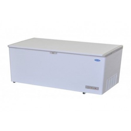 CHEST FREEZER (LIFTING DOOR SERIES) LY600LD